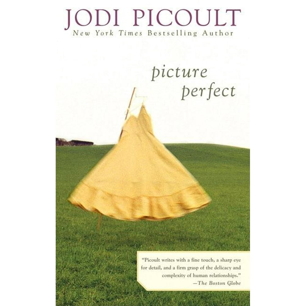 Picture Perfect (Paperback) - Walmart.com - Walmart.com