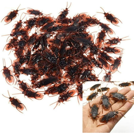 Qianli 200pcs Fake Cockroaches Realistic Prank Cockroach Disgusting ...