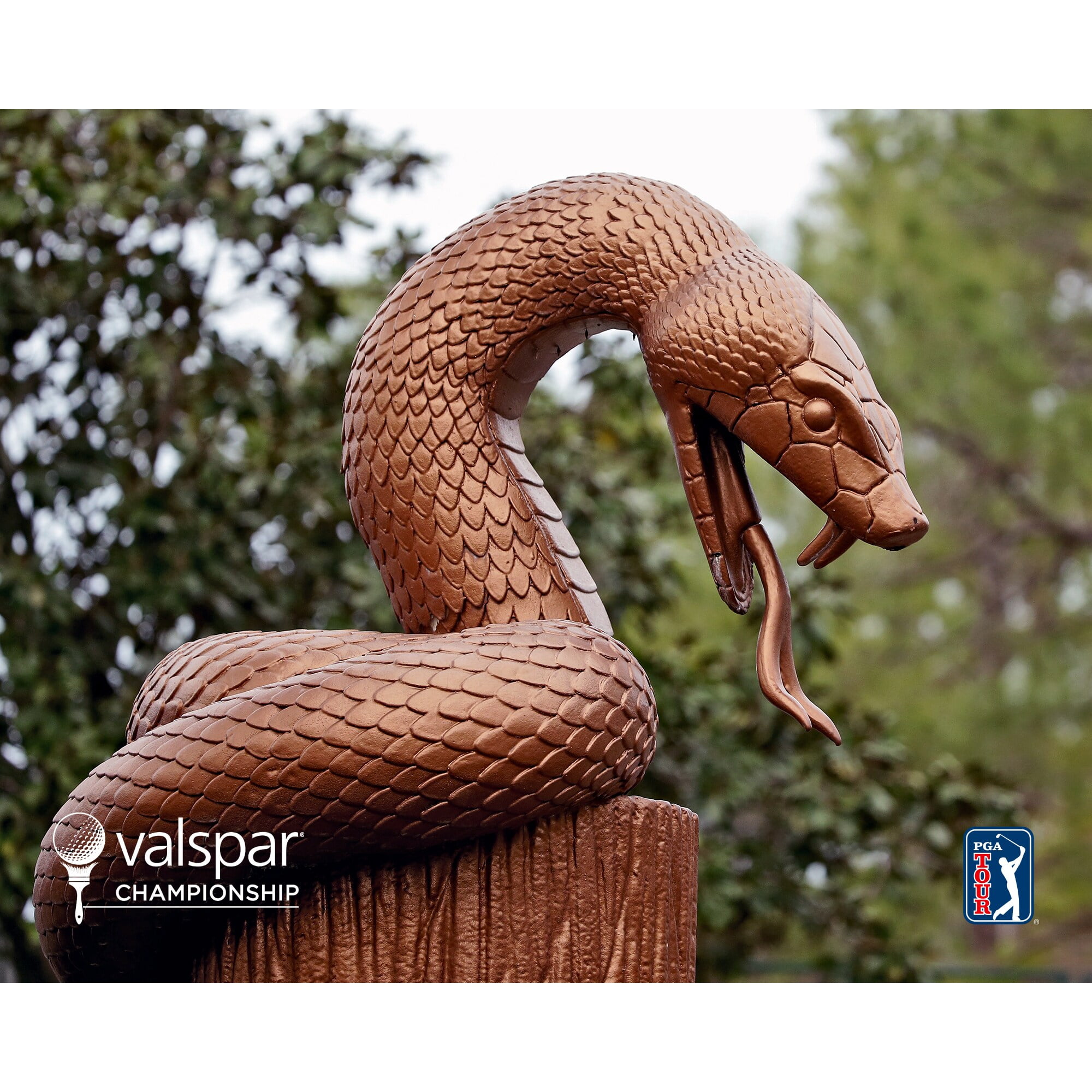 Valspar Championship Copperhead Snake Statue Unsigned Photograph ...