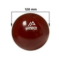 Amber Athletic Gear Economy Turned Iron Shot Put 20lb Brown - Walmart.com