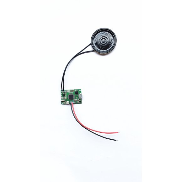 Motion Sensor Sound Player