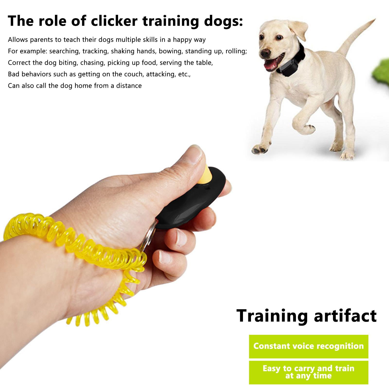 Are Clickers Helpful When Training Dog