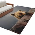 Bear 3'x5' Rug for Bedroom Foot of Bed Small Living Room, Fog Misty ...