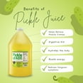 PickleAde 1 Gallon, Dill Pickle Juice Sports Drink with Turmeric ...