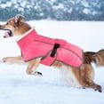 Dog Winter Coat - Cold Weather Jacket with Padding Built-In Vest for ...
