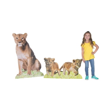 Fun Express Cardboard Stand-Ups, 2 Count - Walmart.com