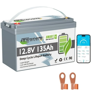 12V 100AH LiFePO4 Battery Bluetooth,TCBWORTH Lithium Batteries for RV,Solar,Trolling Motors ...