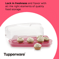 Tupperware 9'' x 13'' Plastic Rectangular Cake and Cupcake Carrier ...