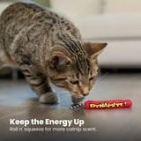Catstages Green Magic Dynamite Stick Catnip Cat Toy, Red for Cats ...