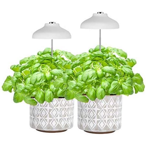 Charlotte Height Adjustable Indoor Grow Light, Pack of 2, Grow Light ...
