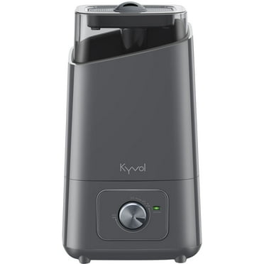 Sonic Breathe Ultrasonic Personal Humidifier - Walmart.ca