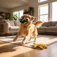 Vibrant Life Summer Flattie Bird and Pineapple Dog Toys with Crinkle ...