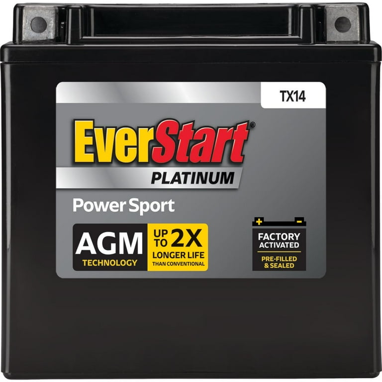 EverStart Platinum AGM Automotive Battery, Group Size, 56% OFF