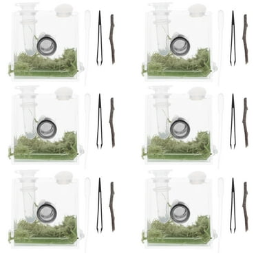 Spider Terrarium, Clear Acrylic Reptile Cage Habitat Insect Feeding Box ...