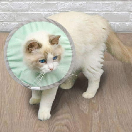 Pet Protective Collar Cat Kitten Anti-Licking Elizabeth Collar Recovery ...