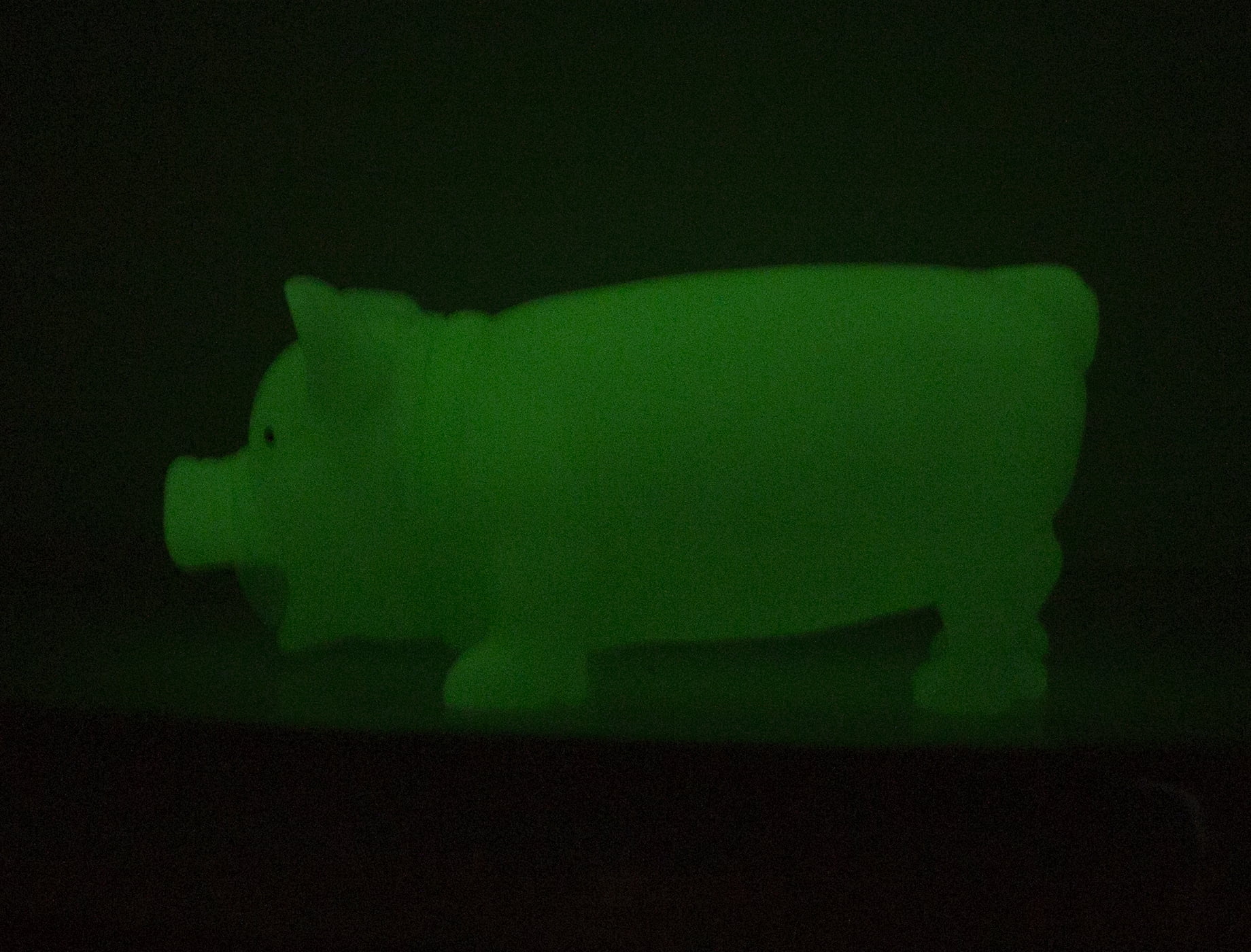 Glow In The Dark Pigs