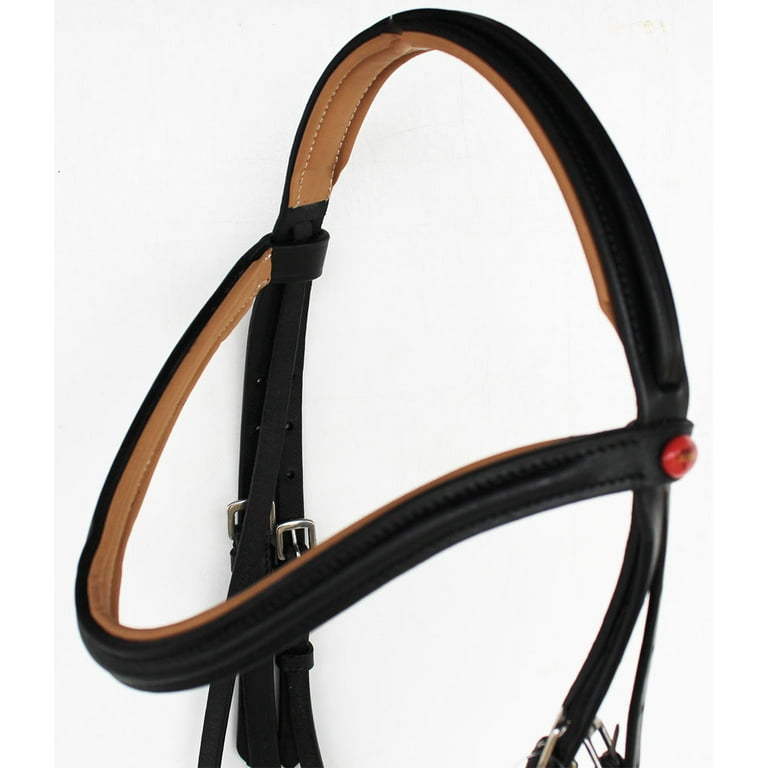 English Jumping Bridle
