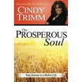 The Prosperous Soul : Your Journey to a Richer Life (Paperback ...