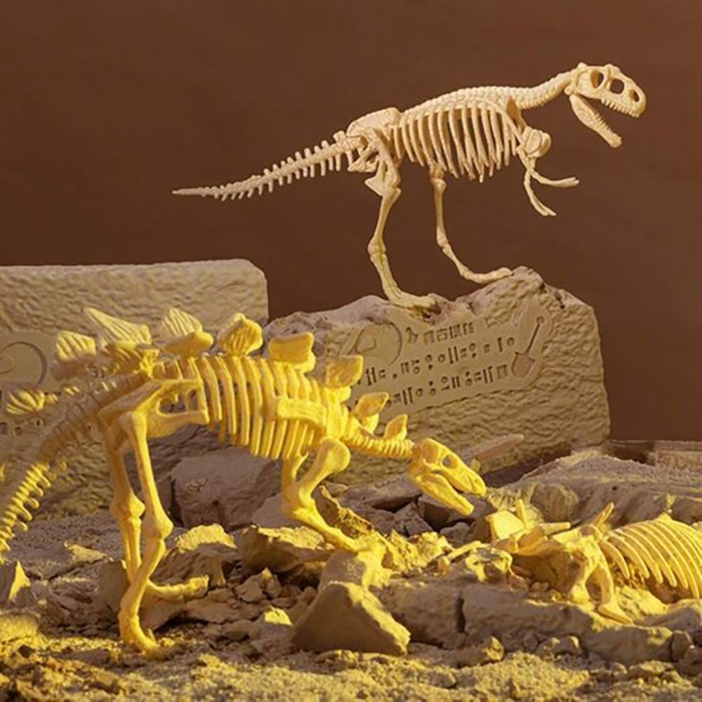 Buy Forzero 4D T-Rex Dinosaur Anatomy Kit, Interactive Archaeology ...