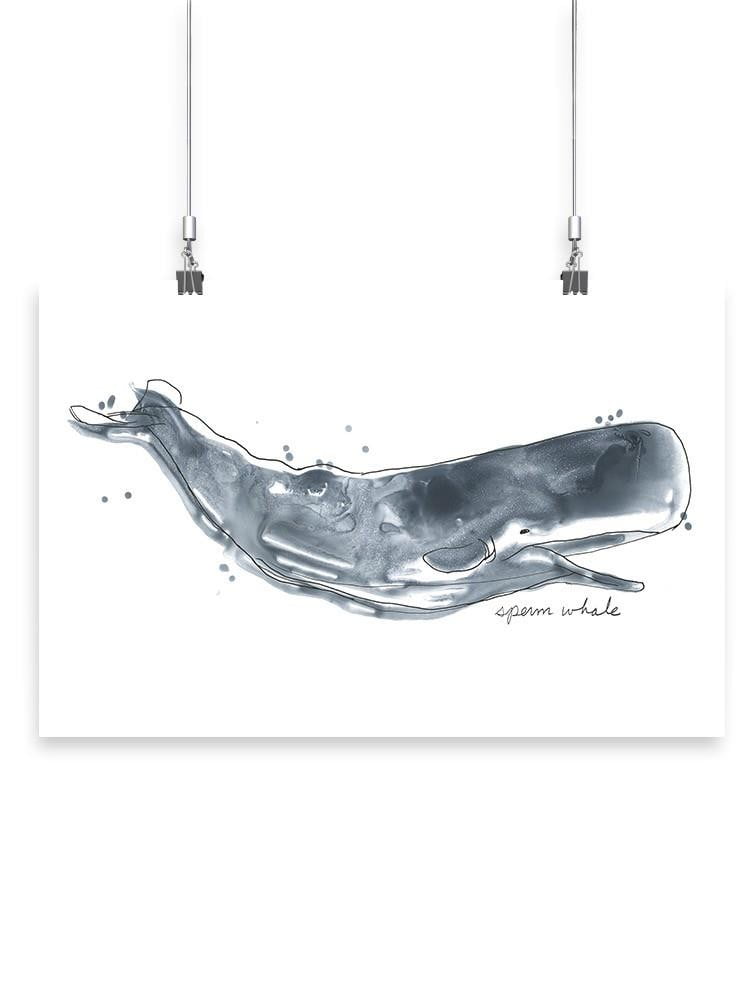 Cetacea Whale. Poster - June Erica Vess Designs, - Walmart.com