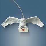 The Bradford Exchange HARRY POTTER HEDWIG Over HOGWARTS Illuminated ...