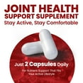 Proven Joint Capsule - ProvenJoint Advanced Formula for Joint Support ...