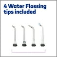 Waterpik Whitening Countertop Water Flosser, WF-06 - Walmart.com