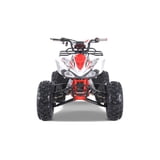 "Tao Motor G125 Kids ATV, 107CC Gas 4-Stroke Engine, 8"" Wheels and ...
