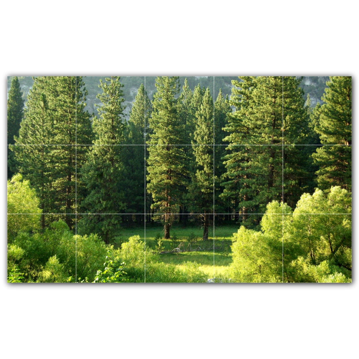 Picture-Tiles.com: Trees Ceramic Tile Wall Mural WAL501020-53XL. 60"W x ...