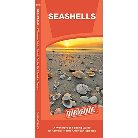 Seashells: A Waterproof Folding Guide to Familiar North American ...