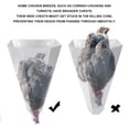 Medium Size Chicken Restraining Cone 8lbs Galvanized Steel Poultry ...