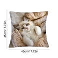 3D French Bulldog Face Throw Pillow - Soft Plush Decorative Cushion ...