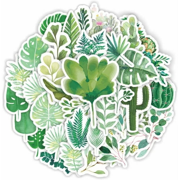 60 Packs Green Plant Stickers Water Bottles Laptop Phone Computer ...