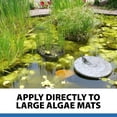 Crystal Clear AlgaeOff, String Algae Remover, EPA Registered, 2.5 ...