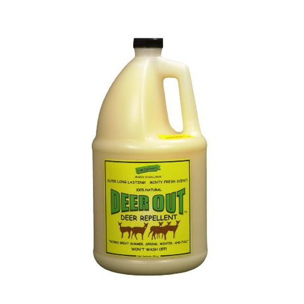 Deer Repellent :Deer Out 1 Gallon Concentrate Makes 10 Gallons ...