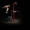 Stamina X Fortress Power Tower, Home Gym, Fitness & Workout System, Red ...
