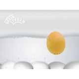 Brainstream Rooster Beepegg Egg Timer - Walmart.com