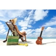 Pyle Soprano Ukulele Starter Package - Walmart.com