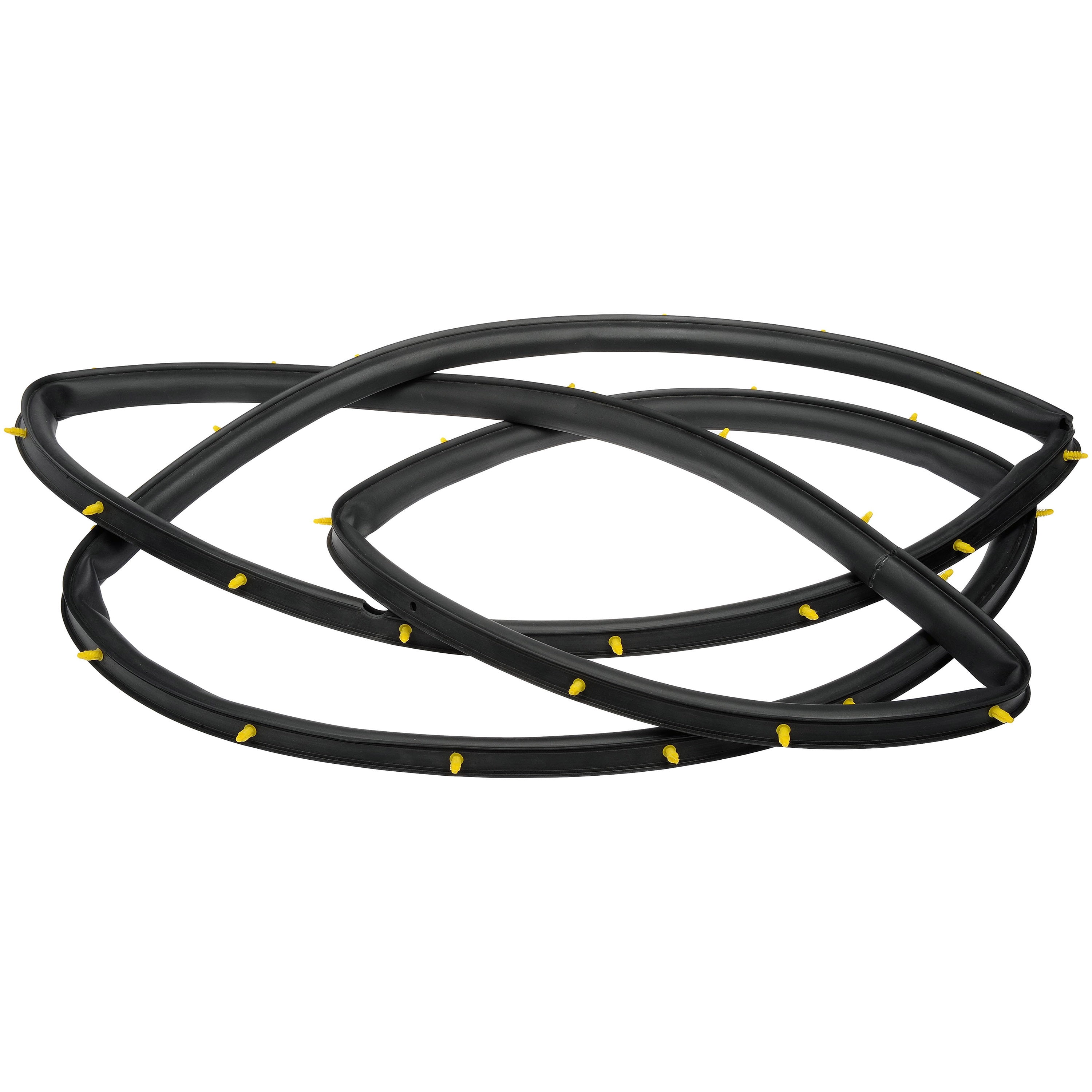 Dorman 750-5211 Cab Door Weather Strip for Specific Freightliner Models ...