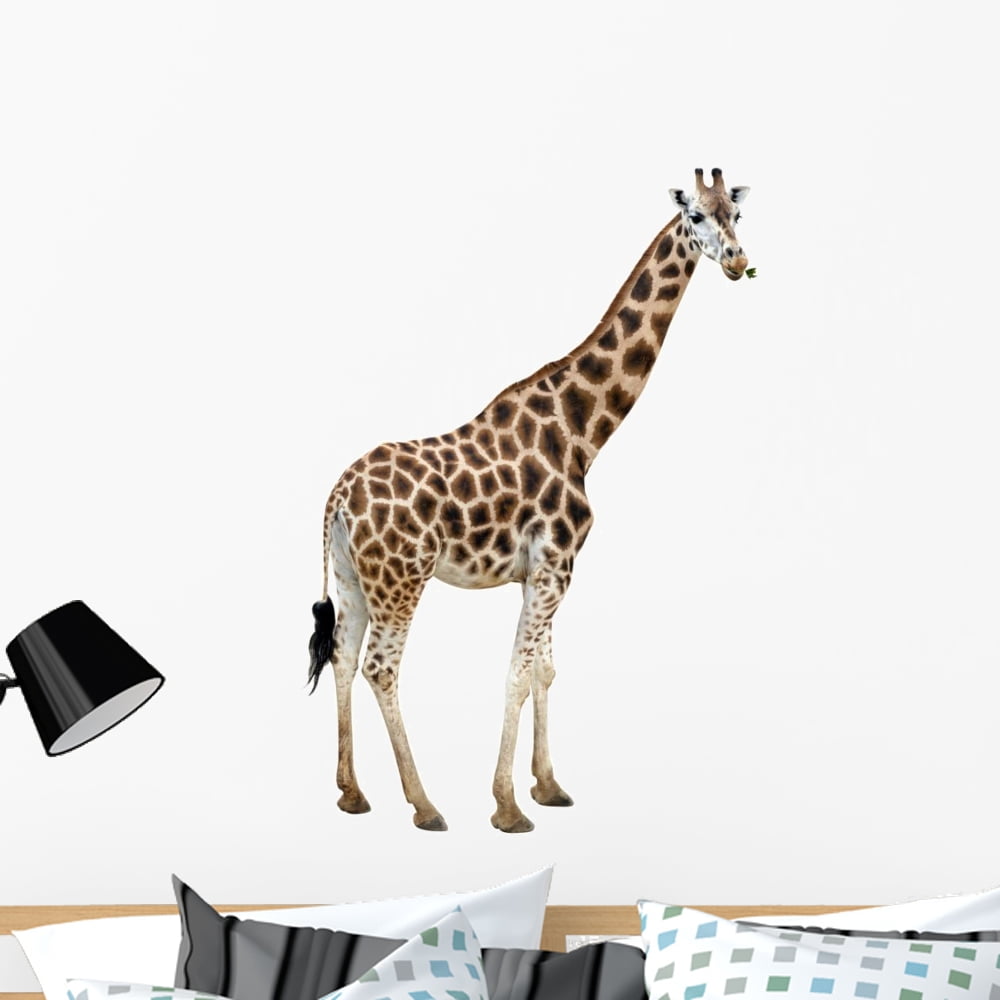 Giraffe Wall Decal by Wallmonkeys Peel and Stick Graphic (36 in H x 24 ...