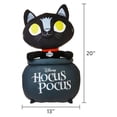 Halloween Disney Hocus Pocus Binx Plush Covered Porch Outdoor Decor 18 ...