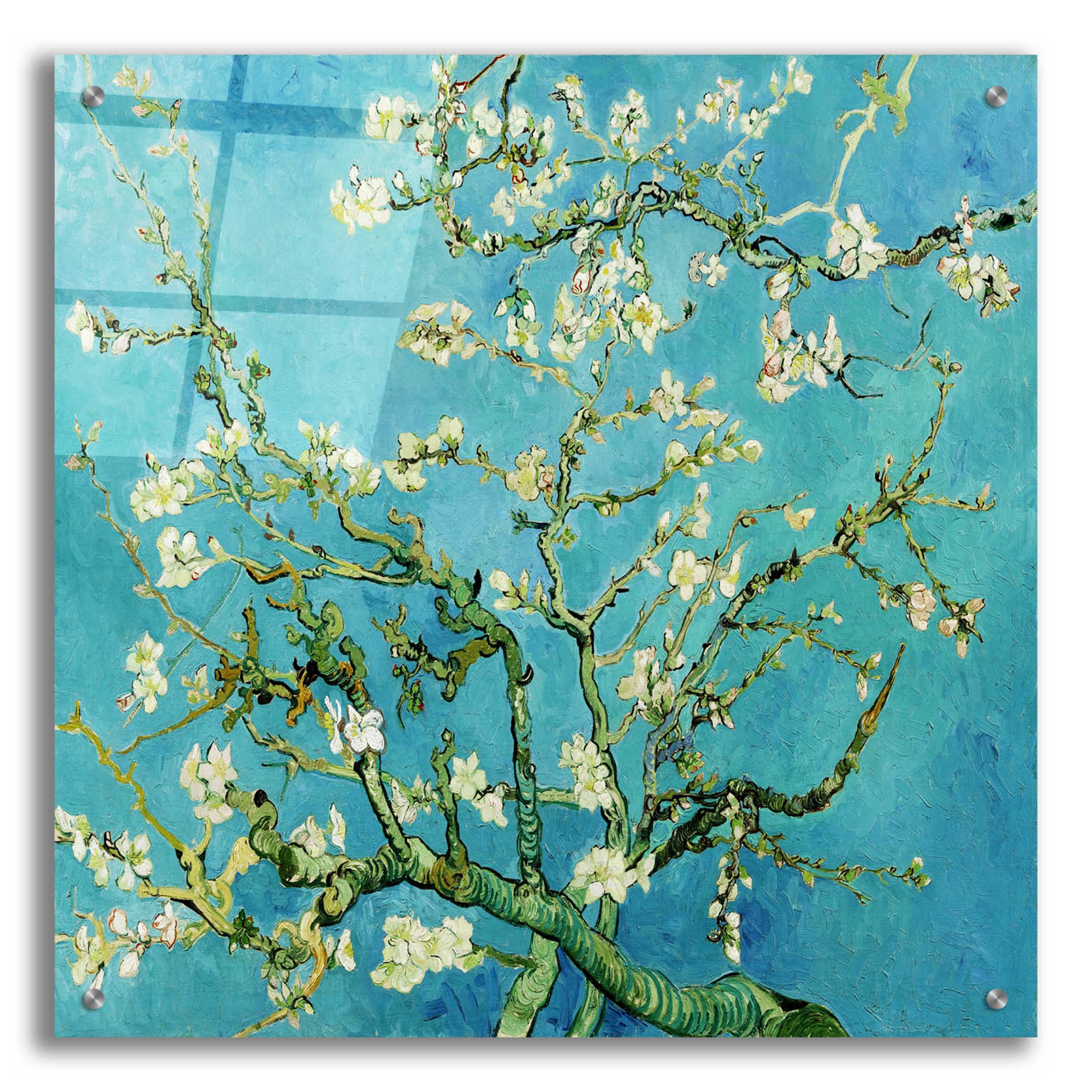 Epic Art 'Almond Blossoms' by Vincent Van Gogh, Acrylic Glass Wall Art ...