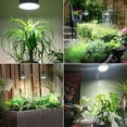 SANSI, LED Grow Light Bulb, BR20 12W Full Spectrum Plant, Waterproof ...