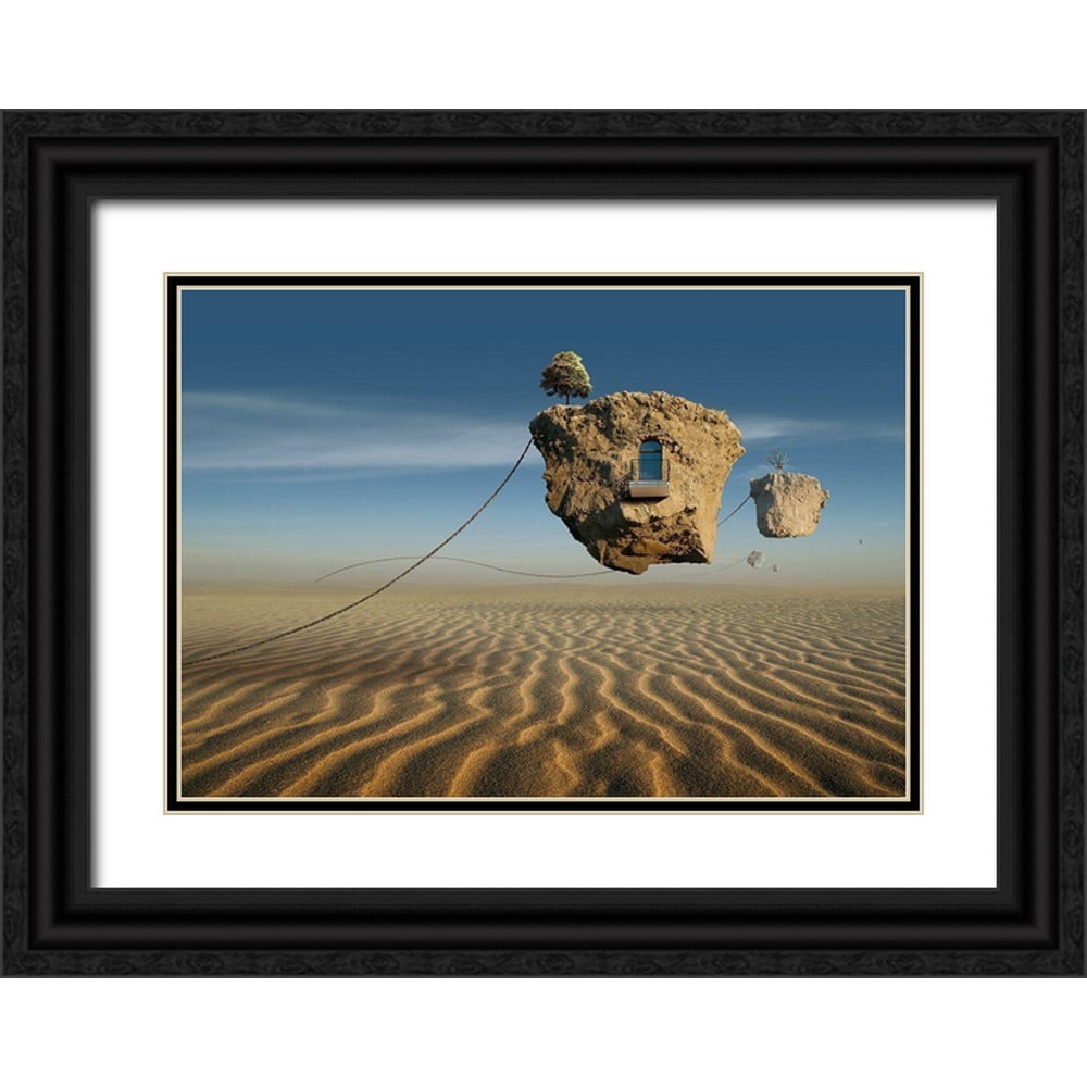 Penchev, Radoslav 18x14 Black Ornate Wood Framed with Double Matting ...