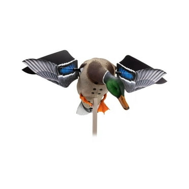 Avian-X AXP Lesser Canada Goose Decoy - Walmart.com