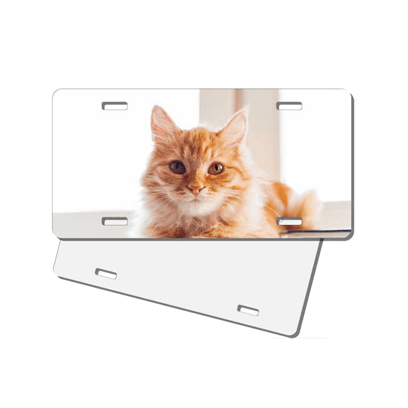 license plate blanks