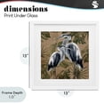 Stupell Industries Two Herons over Tropical Leaves White Framed Print ...