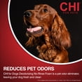 CHI for Dogs Deodorizing No-Rinse Foam, For Dogs , 8 oz - Walmart.com