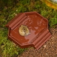 lixuesong Compacts Reptiles Bath And Feeding Dish Smooth Easy ...