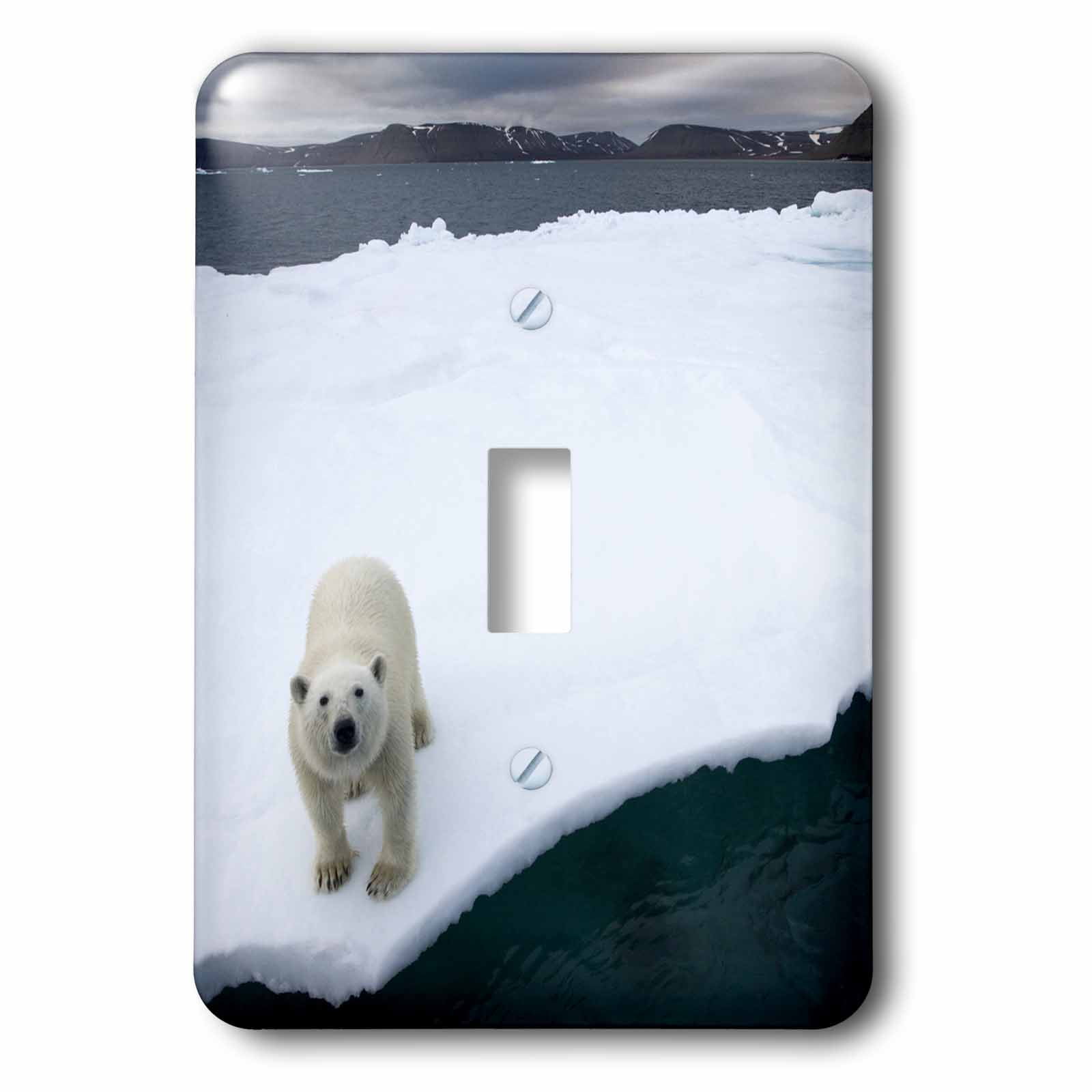 Norway, Svalbard, Polar Bear, iceberg - EU21 PSO0322 - Paul Souders ...